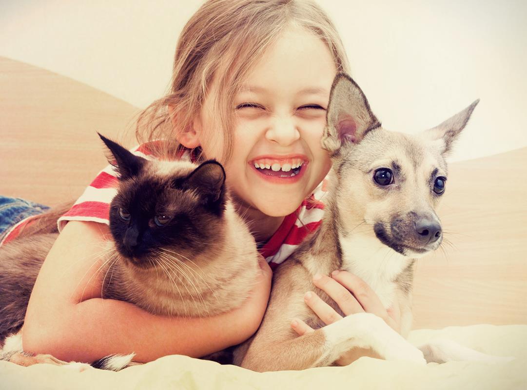 Adopt A Dog or Cat | Last Chance Animal Rescue
